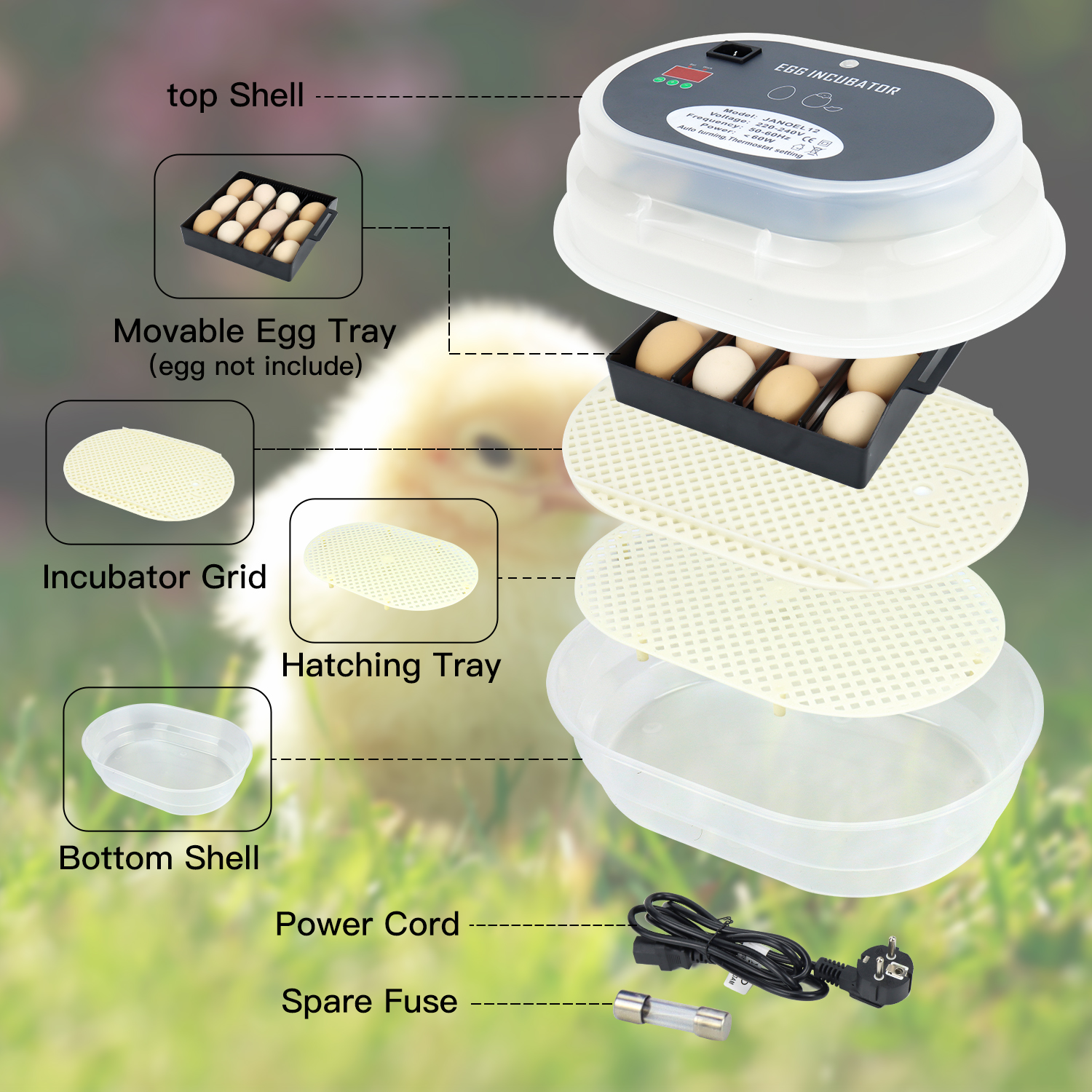 Automatic Mini Egg Incubator 12 Eggs Brooding Machine for Chicken Duck ...