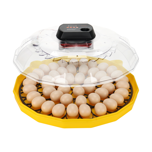 Egg Incubators - Janoel Incubator