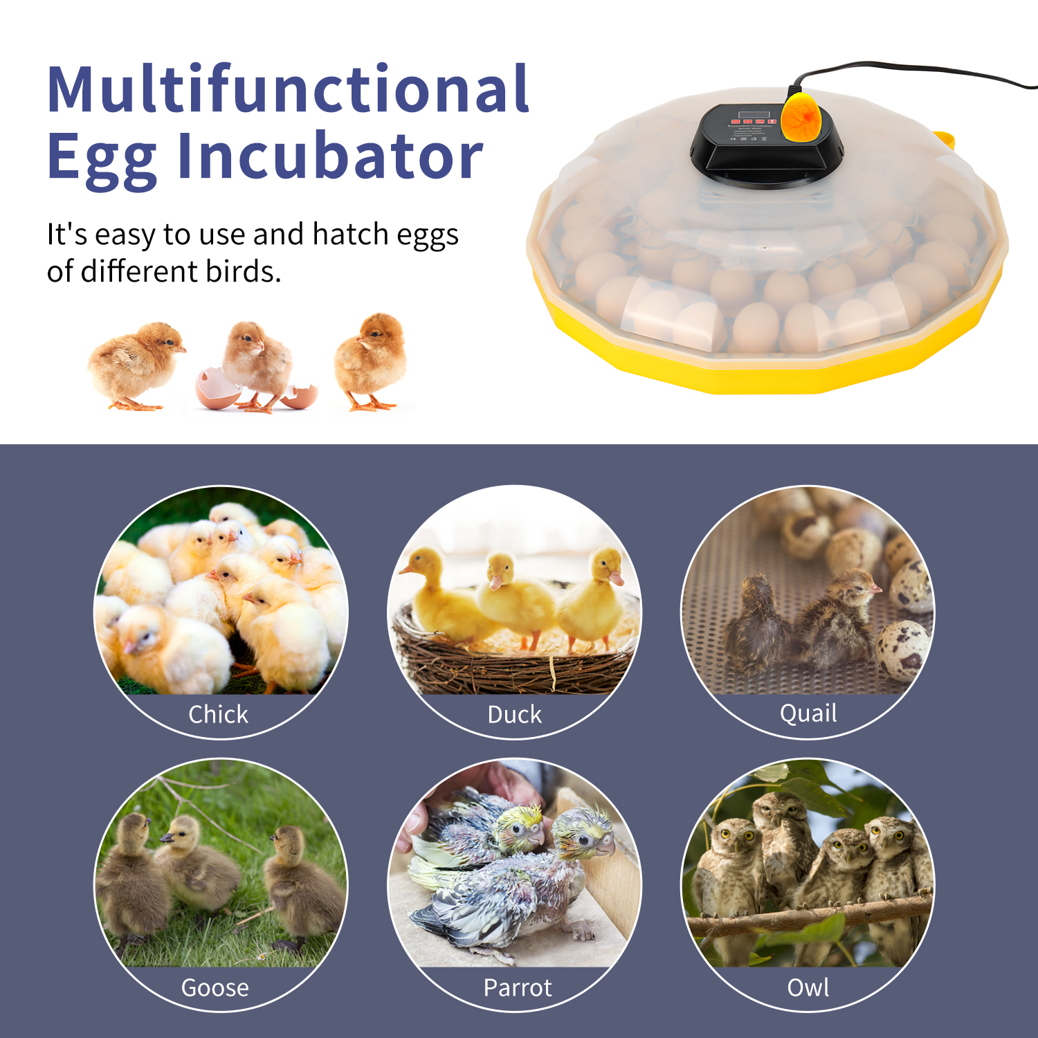 Egg Hatcher Fully Automatic Egg Incubator Hatching Machine for 48 ...