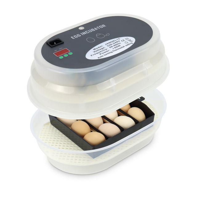 Janoel Egg Incubators - Precision Hatching Solutions